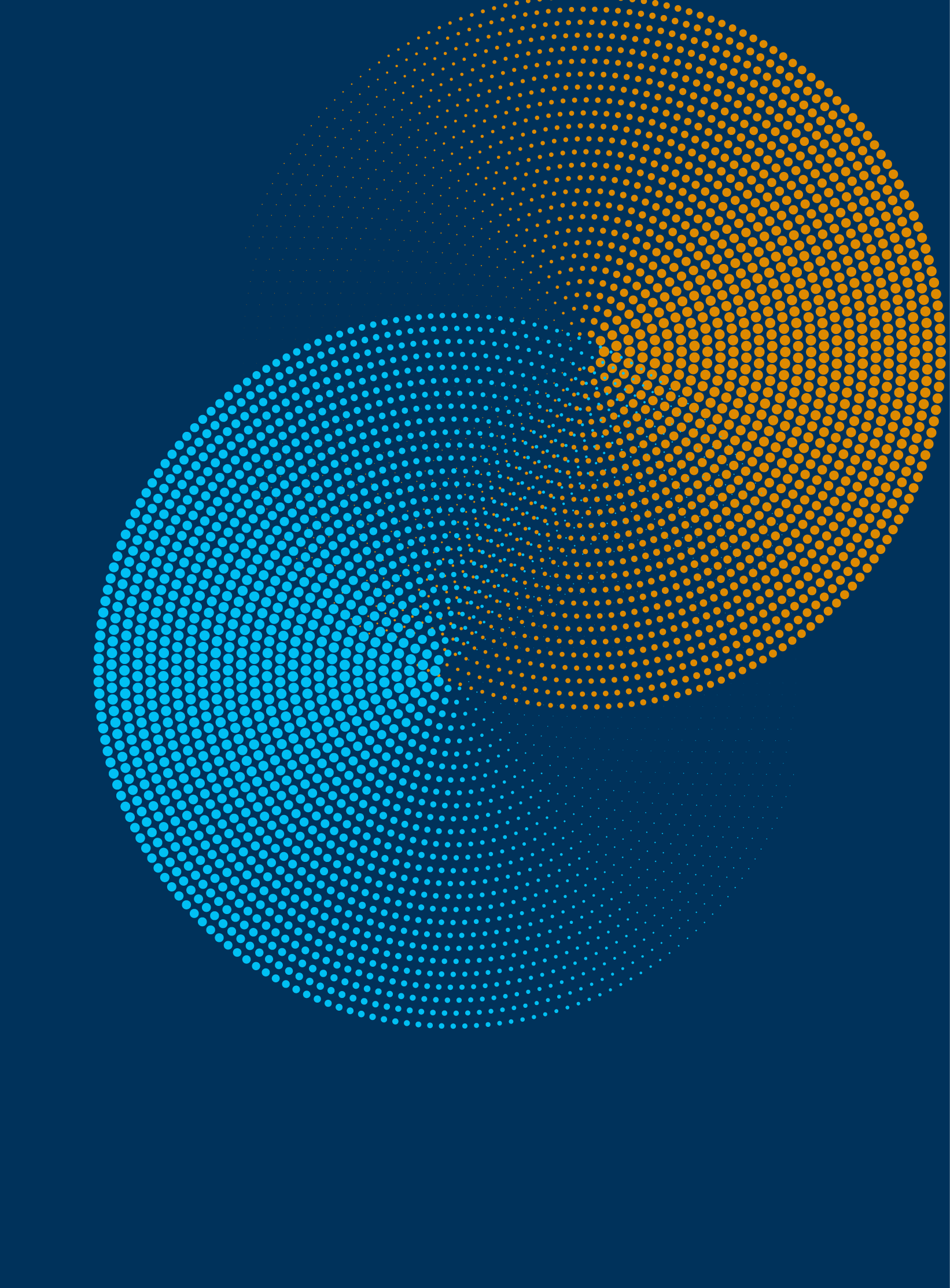 SuccessFactors Consulting Services and Implementation Partner | Rialtes